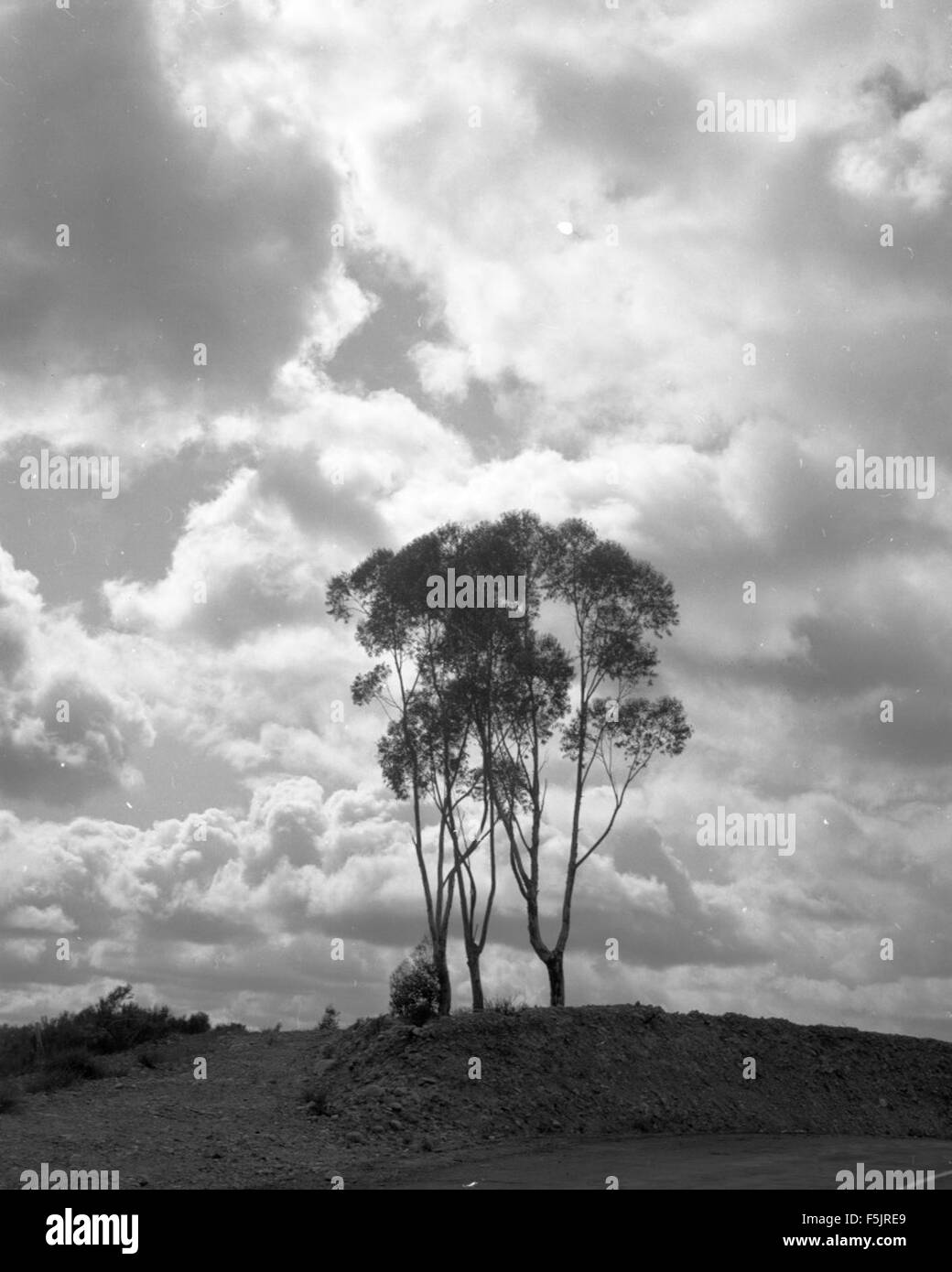 This photograph captures the natural beauty of Sycamore Canyon ...