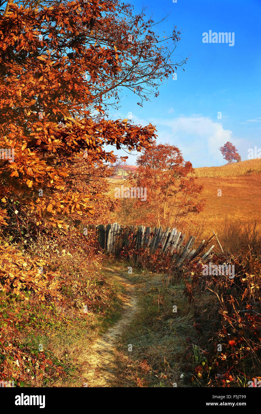 Countryside path in autumn hi-res stock photography and images - Alamy