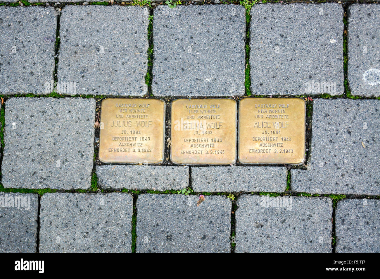 Stolperstein rheinland pfalz hi-res stock photography and images - Alamy