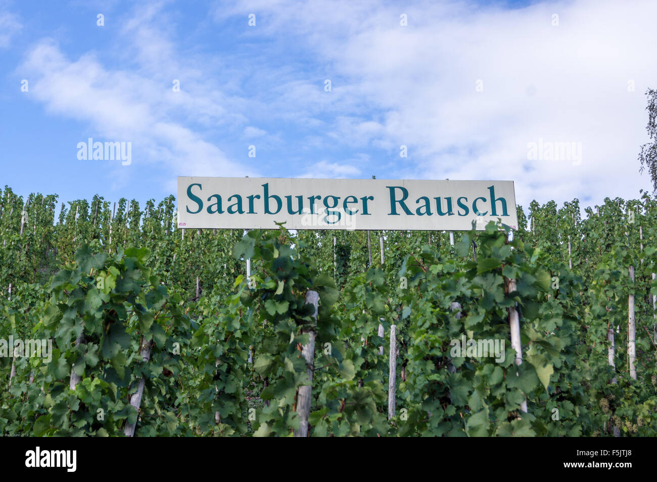 Sign with the name of Saarburger Rausch vineyard, Saarburg, Rheinland ...