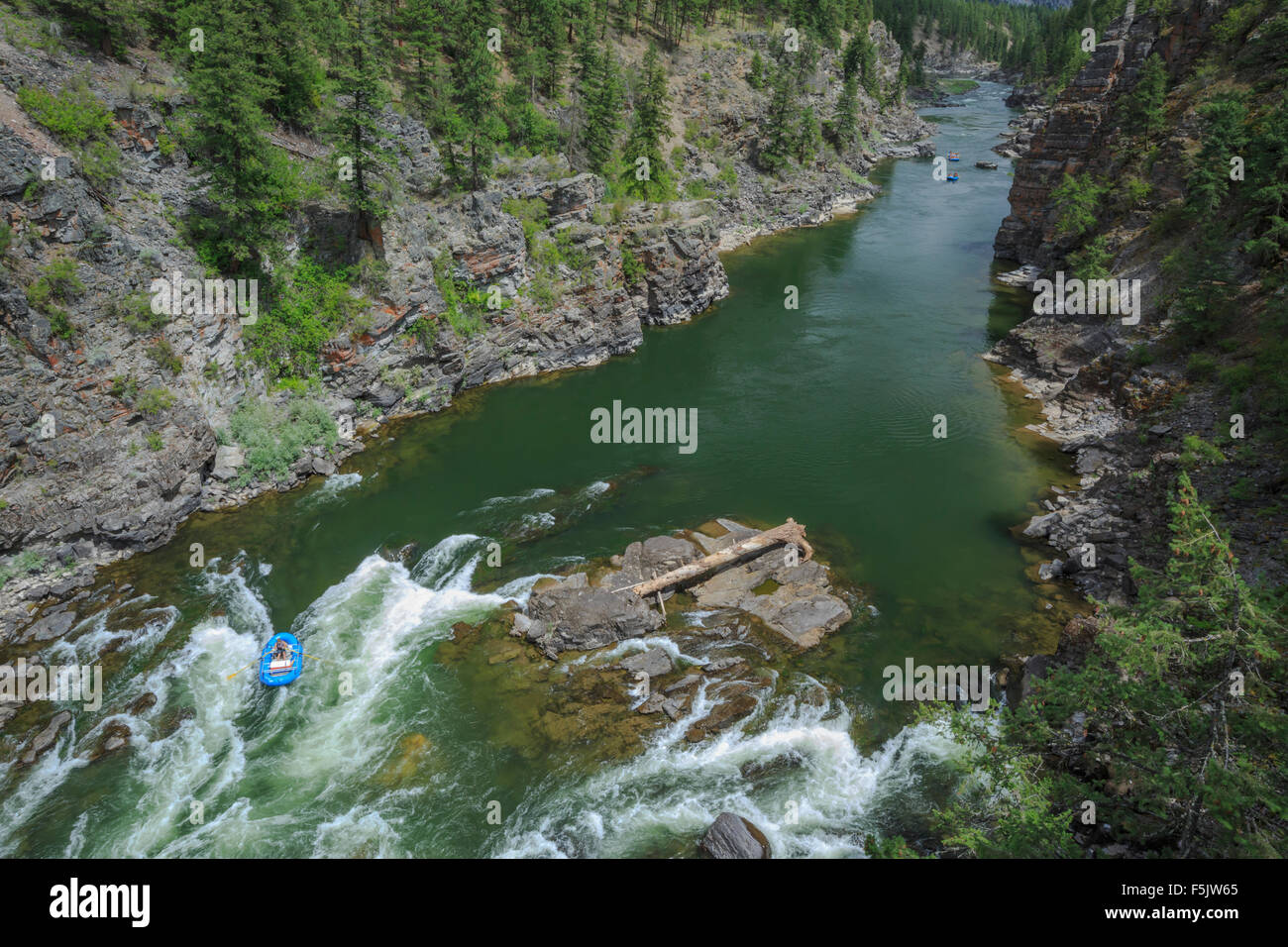 rafter shooting fang rapids on the clark fork river in alberton gorge ...