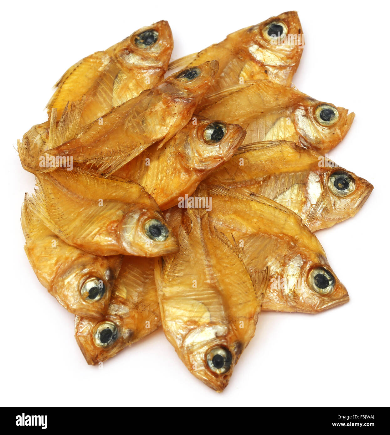 Chanda chanda nama elongate glassy perchlet glass fish Cut Out Stock ...