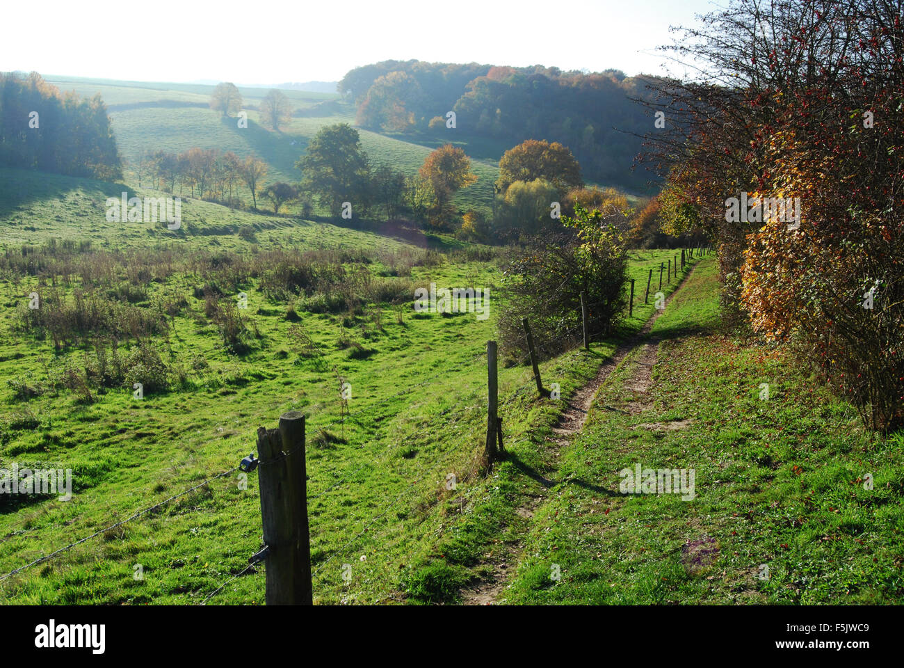 Dutch countryside near Epen, Zuid Limburg, Netherlands Stock Photo - Alamy