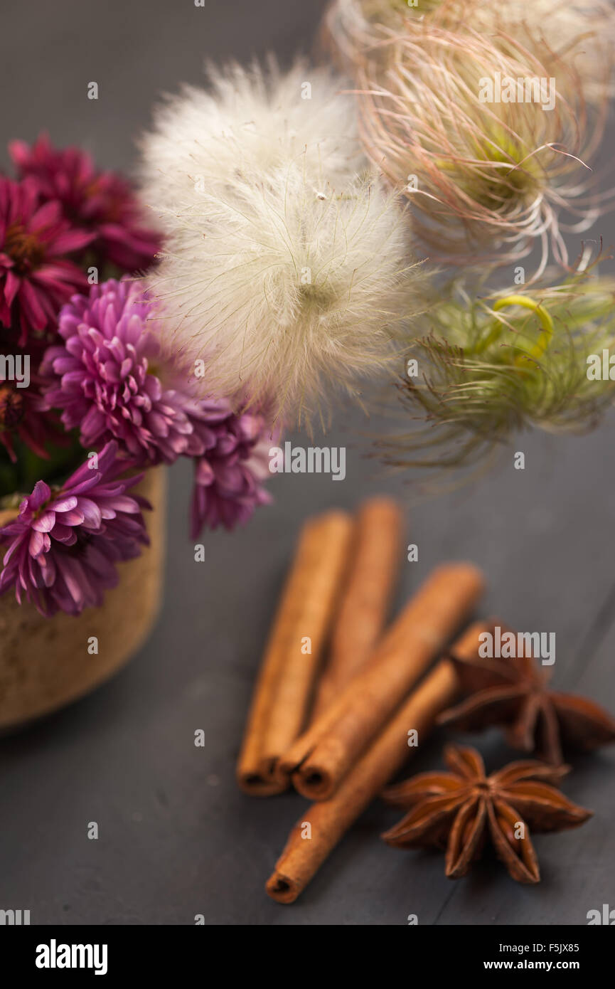 Anise and cinnamon Stock Photo - Alamy