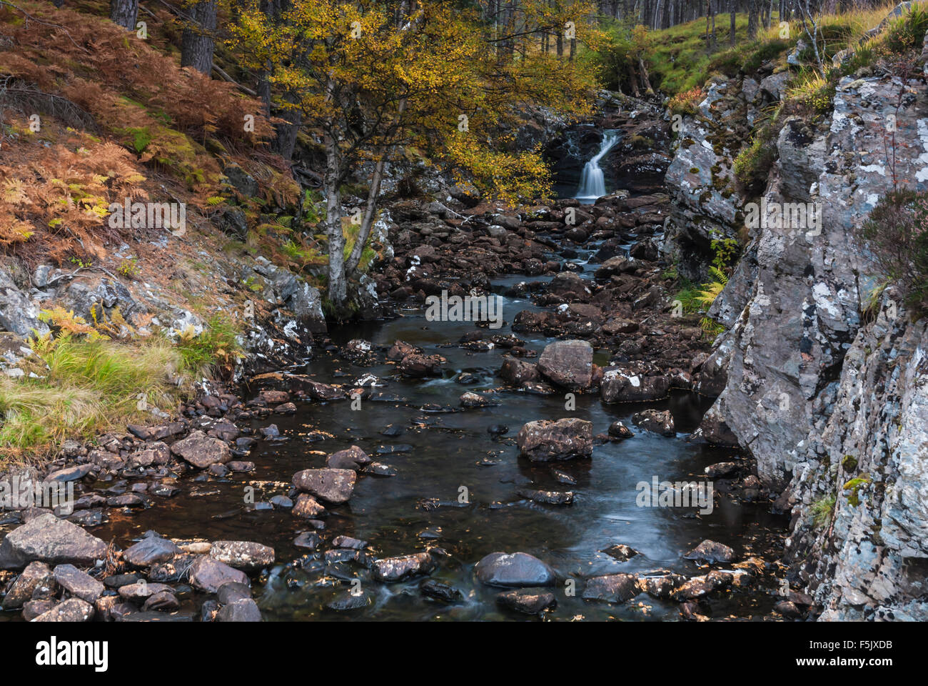 River cassley falls hi-res stock photography and images - Alamy