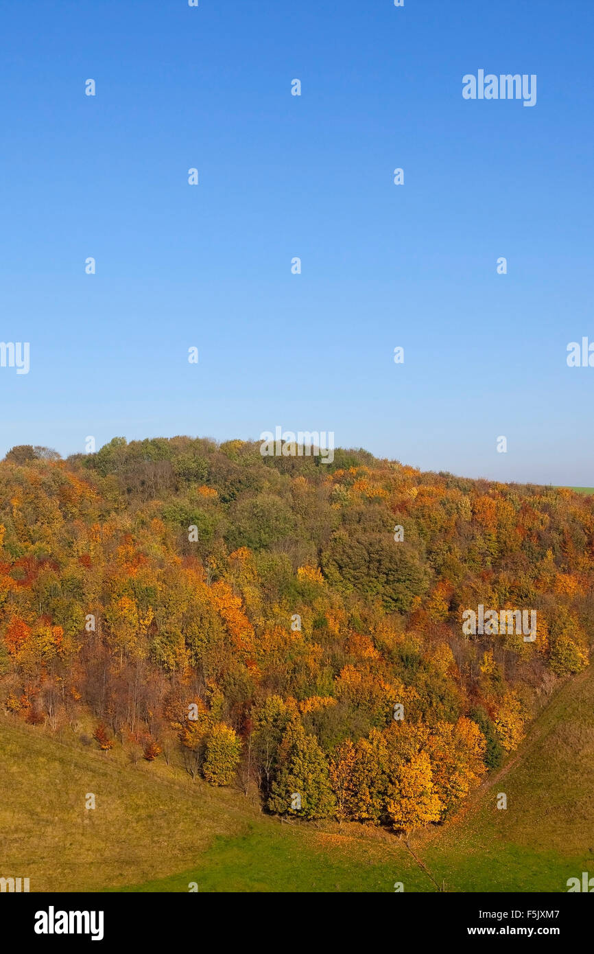 Colorful autumn woodland on the hillside of the scenic valley of ...