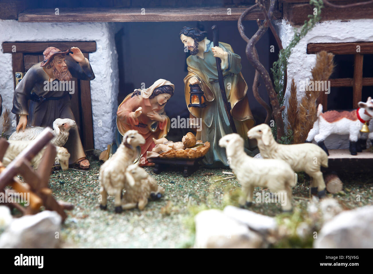 Closeup of the nativity scene with sheep in foreground Stock Photo - Alamy