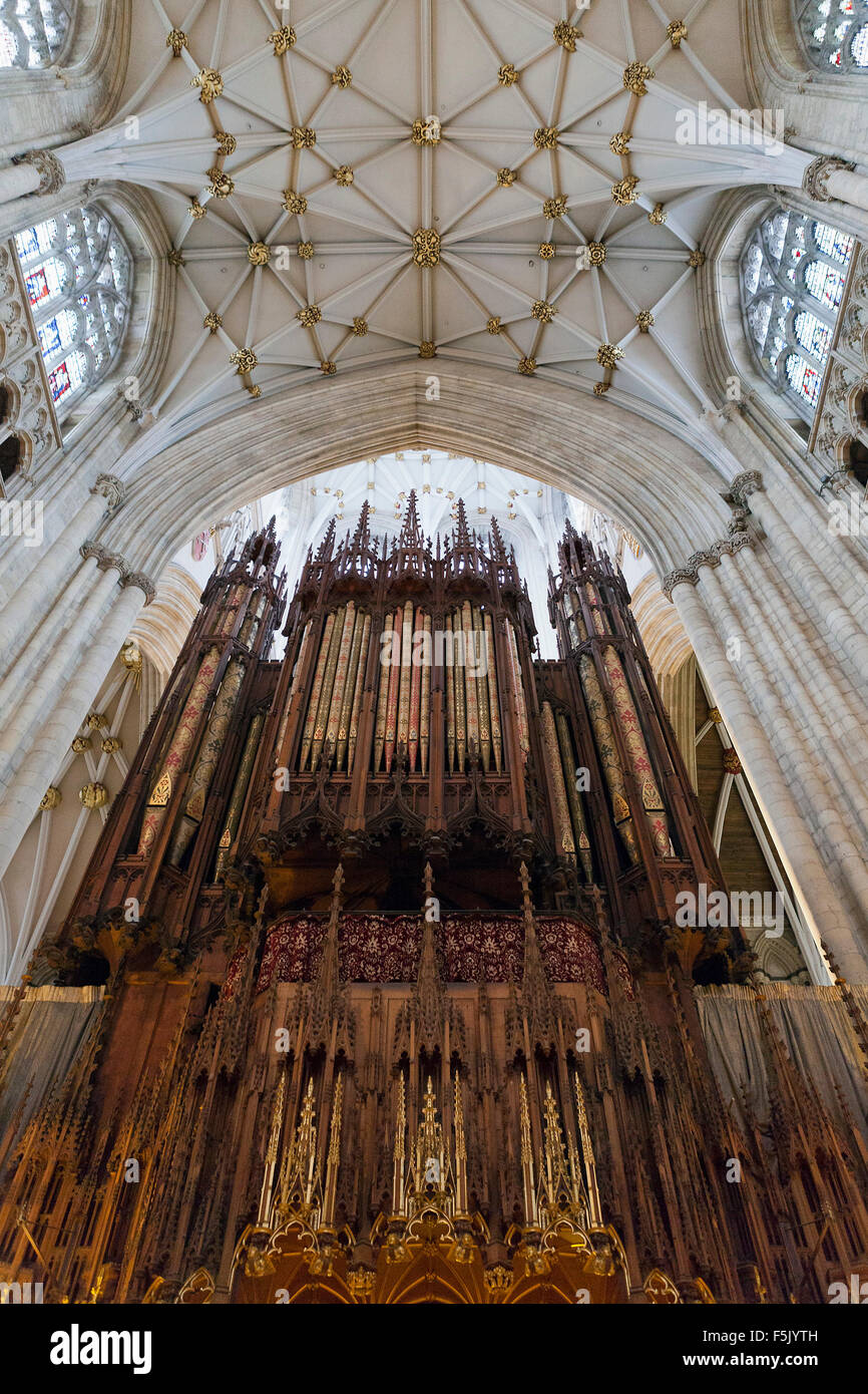 Organ of York MInster Stock Photo - Alamy