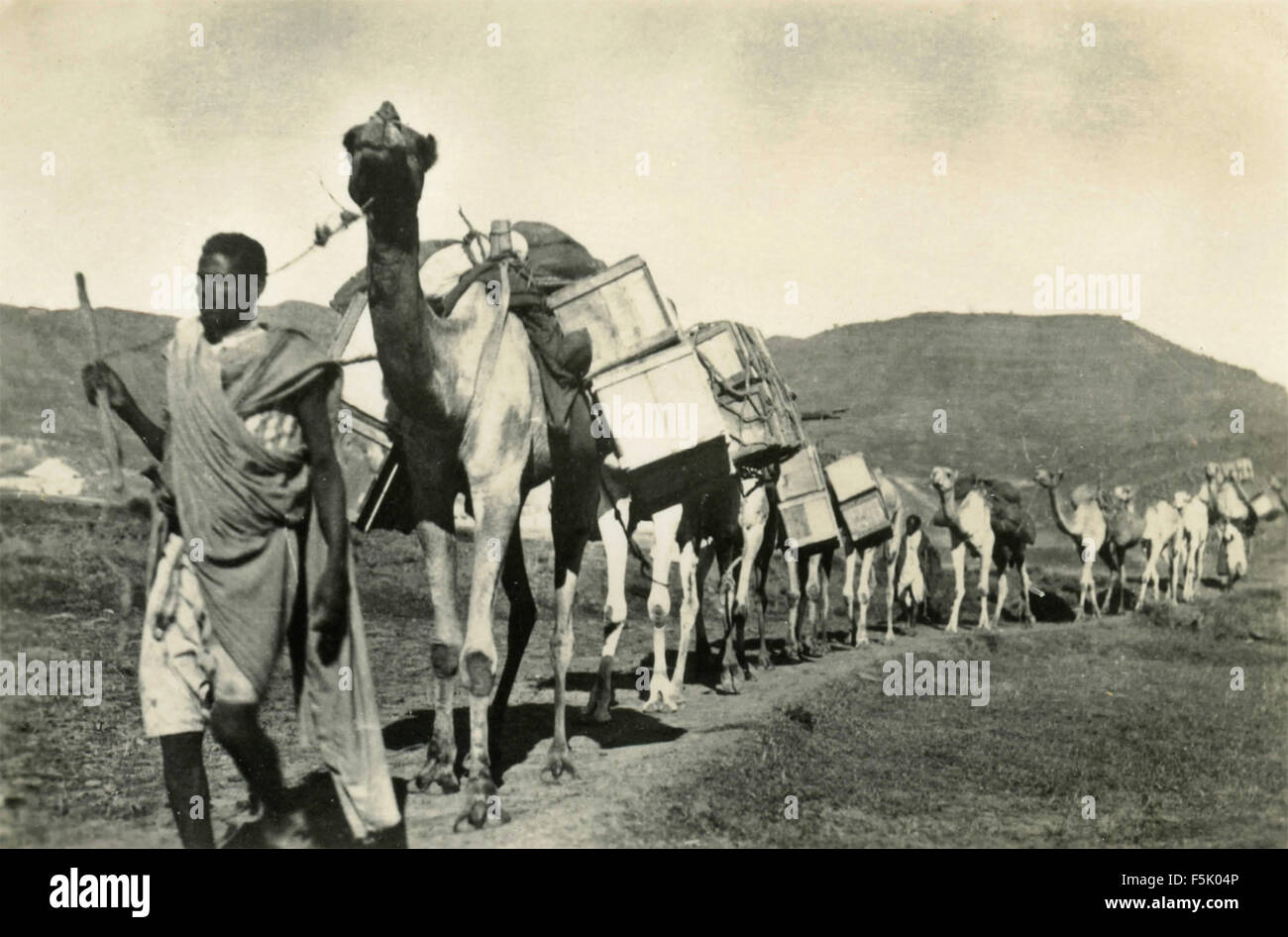 Caravan of camels , East Africa Stock Photo - Alamy
