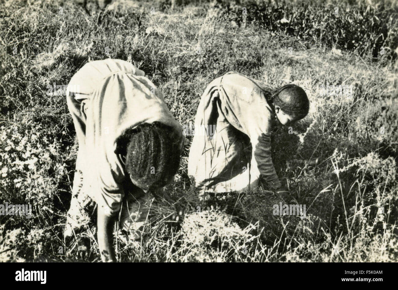 African women working in the fields , East Africa Stock Photo - Alamy