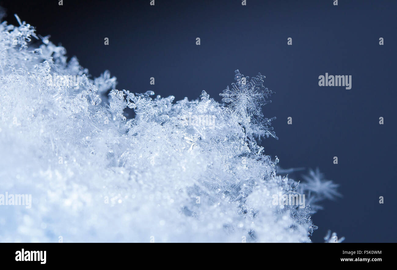 natural snowflakes on snow Stock Photo - Alamy