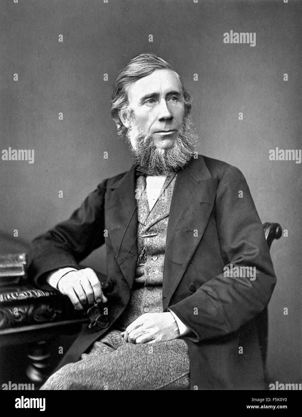 JOHN TYNDALL (1820-1893) Irish physicist about 1872 Stock Photo - Alamy