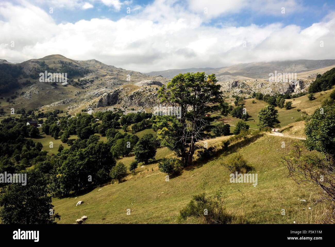 Umoljani hi-res stock photography and images - Alamy