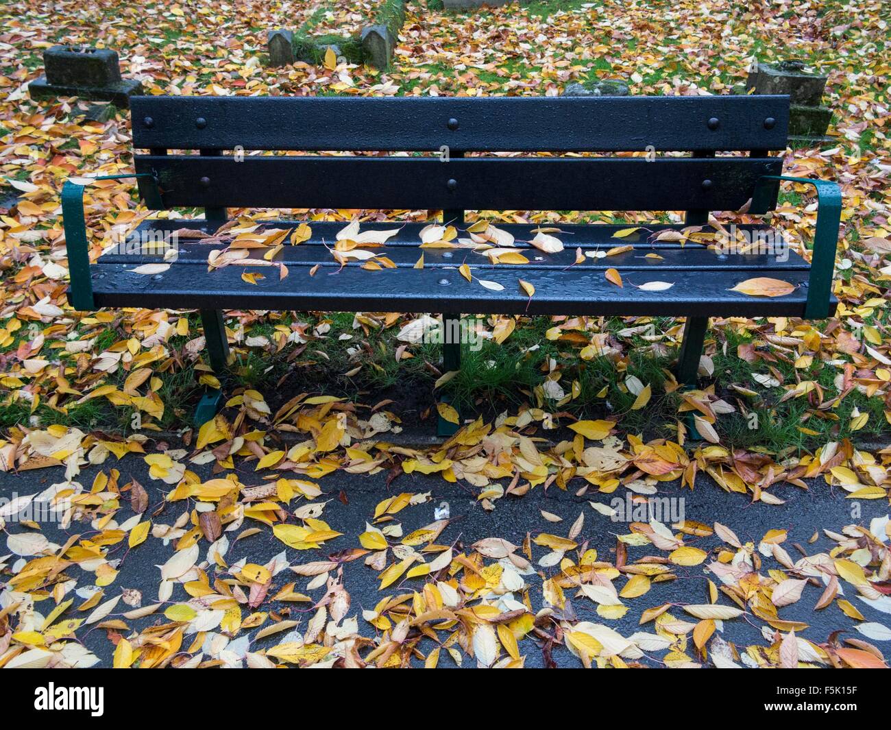 Fall leafdrop hi-res stock photography and images - Alamy