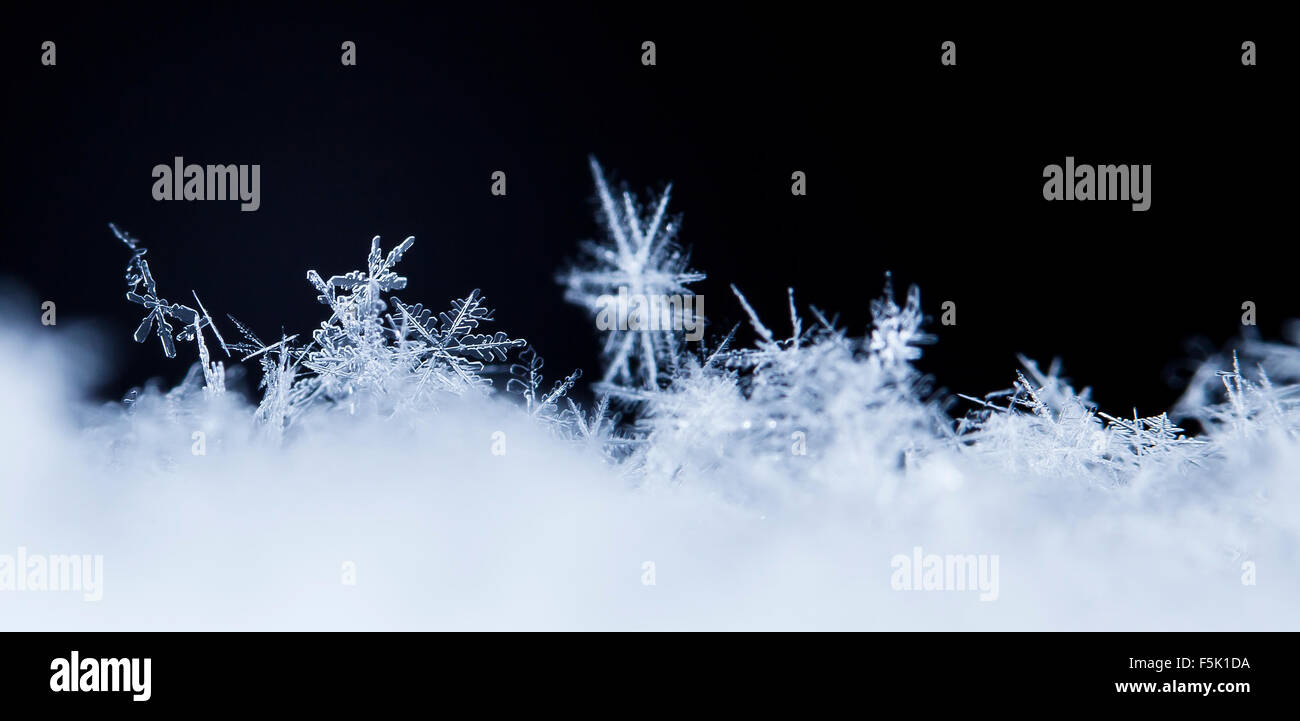 natural snowflakes on snow Stock Photo - Alamy
