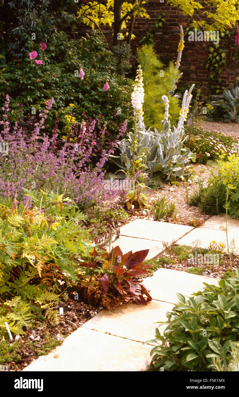 Paved path through summer borders with foxgloves and blue salvia Stock ...