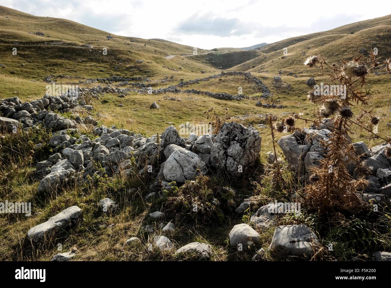Macadam road hi-res stock photography and images - Alamy