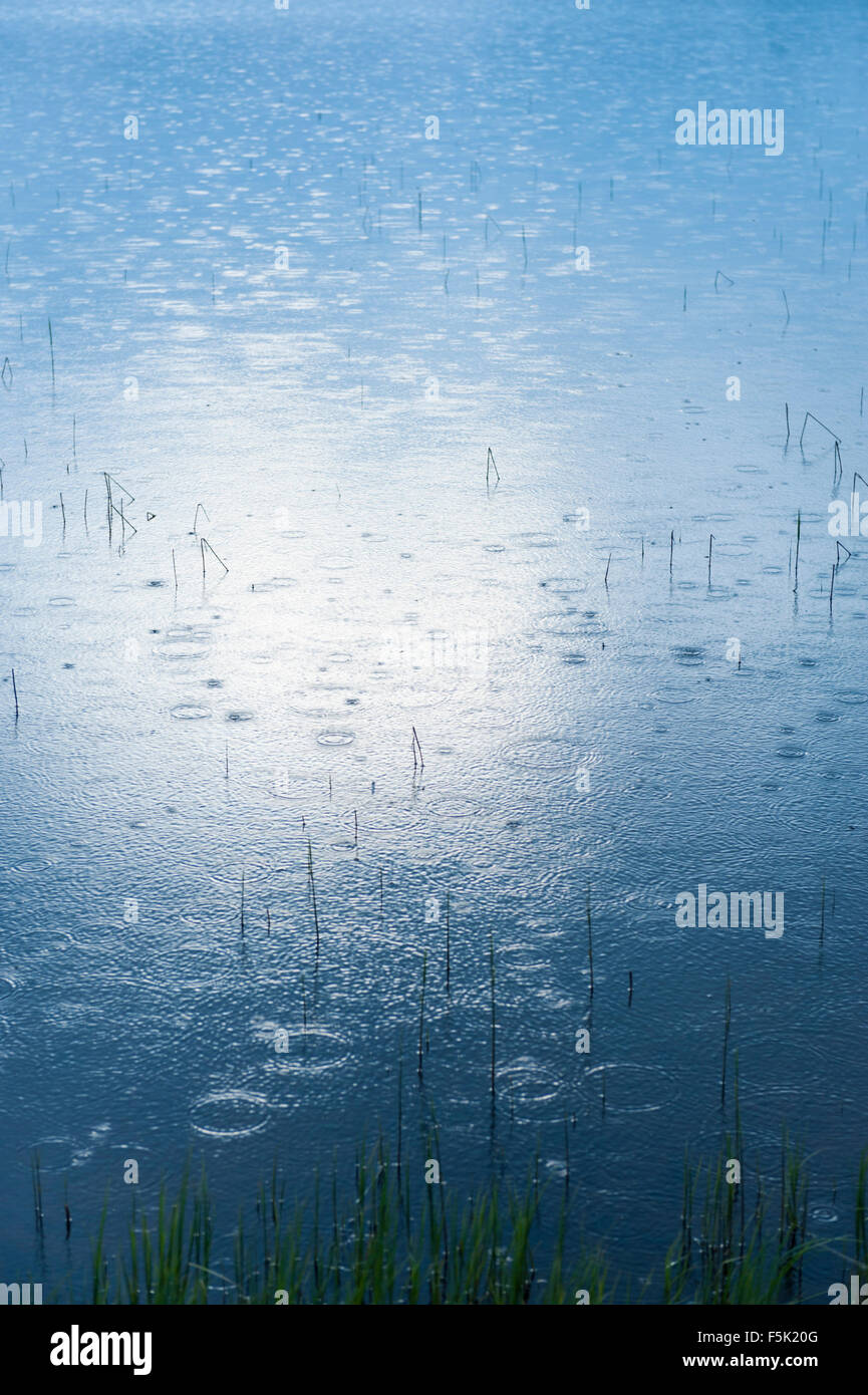 Raining into lake hi-res stock photography and images - Alamy