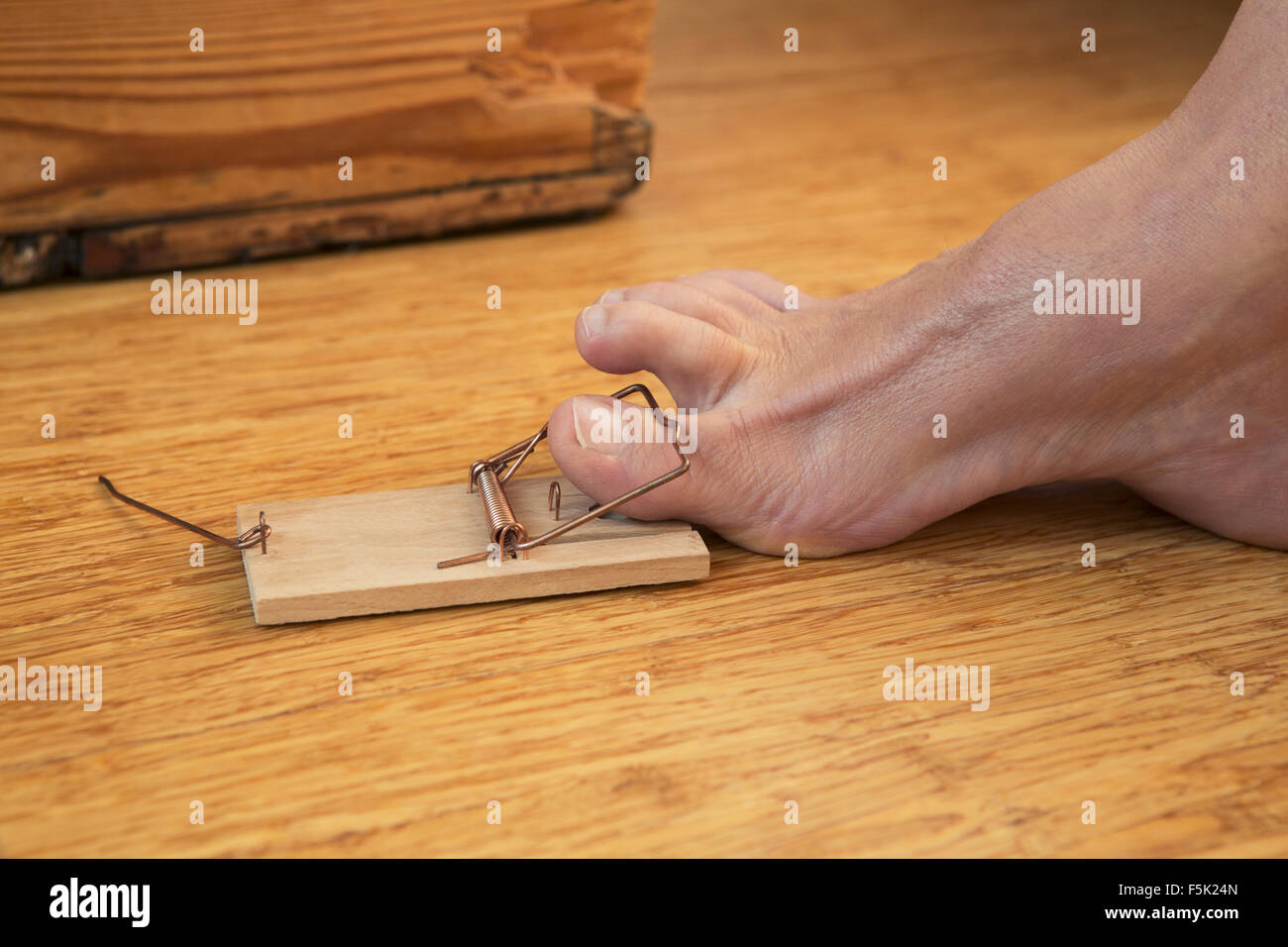 foot caught in mousetrap on wooden floor Stock Photo - Alamy