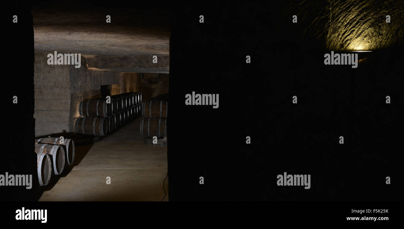 Barrels in Wine Cellar-Bordeaux Vineyard Stock Photo - Alamy