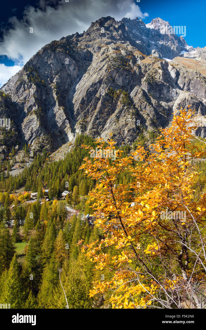 Autumn in Ailefroide, Provence Alpes Cote de Azur, Hautes-Alpes, France ...