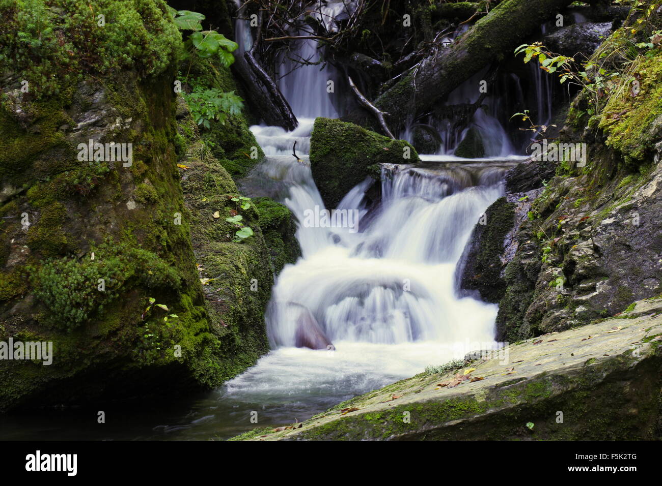 waterfall in the forest (blurred water Stock Photo - Alamy