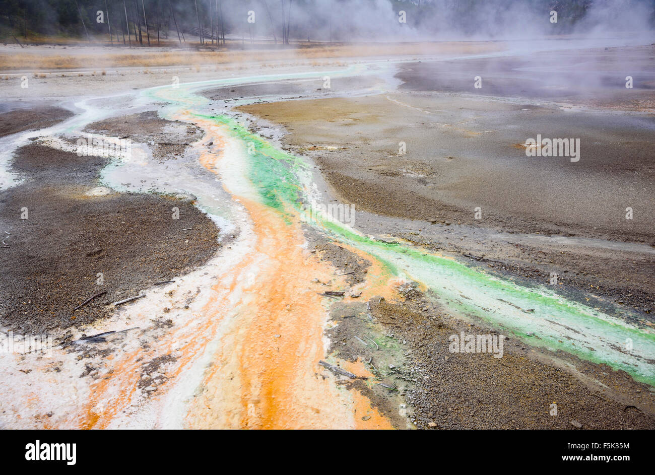 Colourful runoff caused by Thermophile bacteria from Whirligig geyser ...