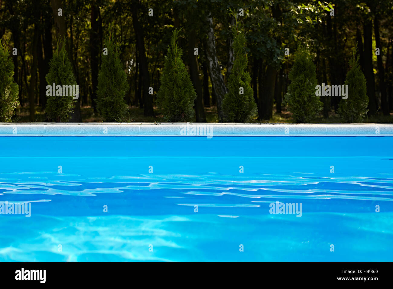 Forest swimming pool hi-res stock photography and images - Alamy