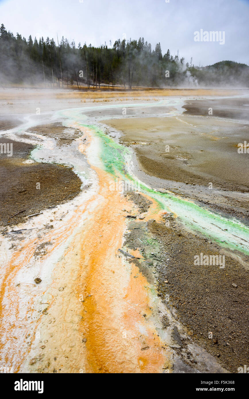 Thermophile bacteria hi-res stock photography and images - Alamy
