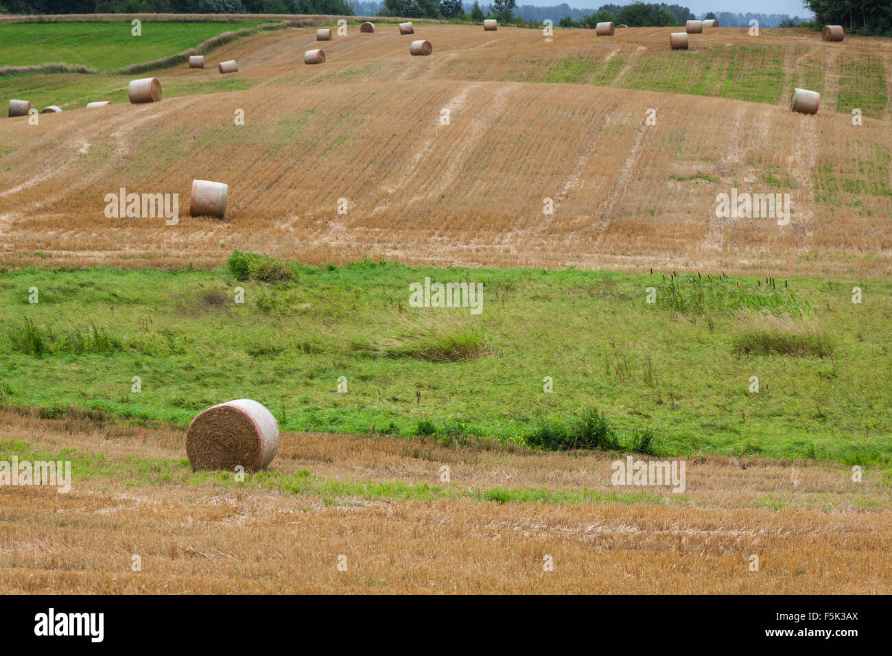Bundles Of Straw High Resolution Stock Photography and Images - Alamy