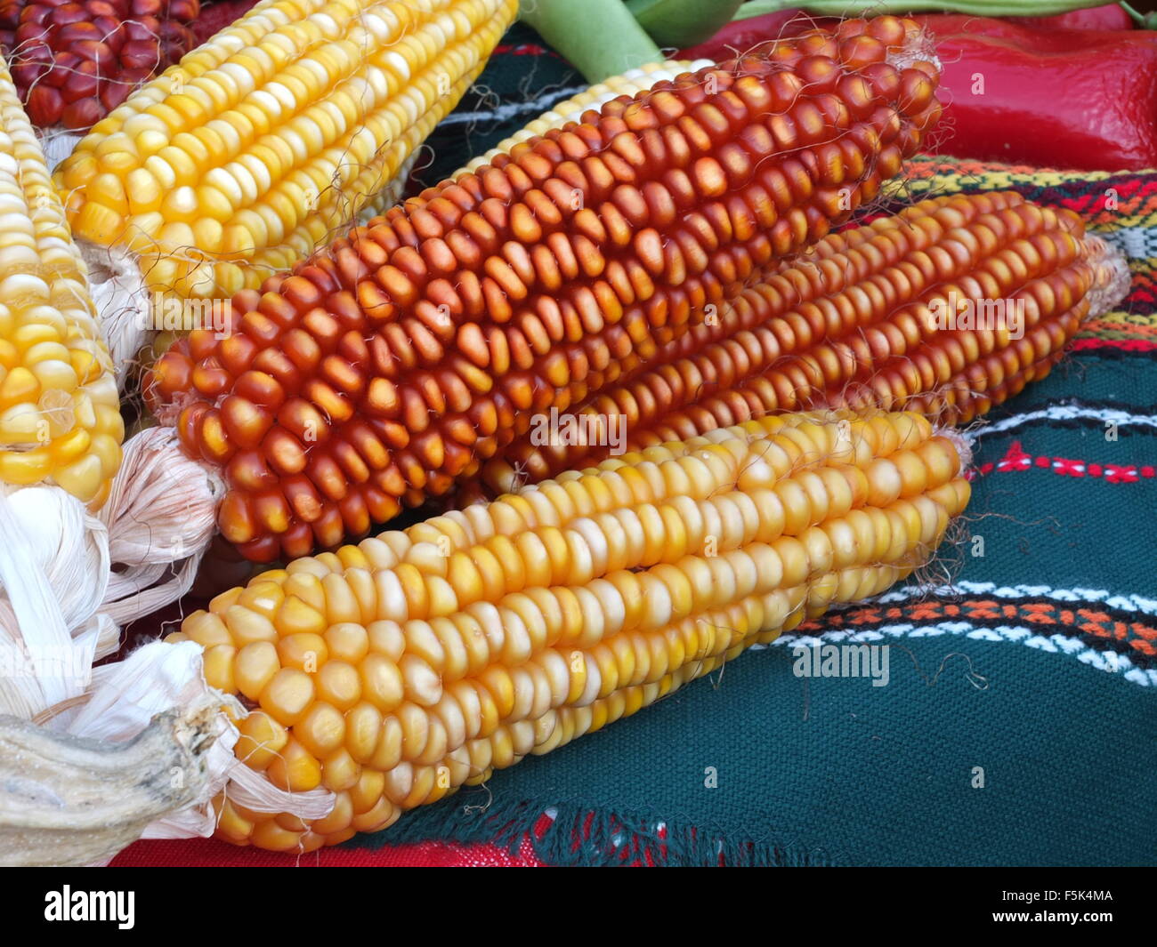 Native american corn crop hi-res stock photography and images - Alamy