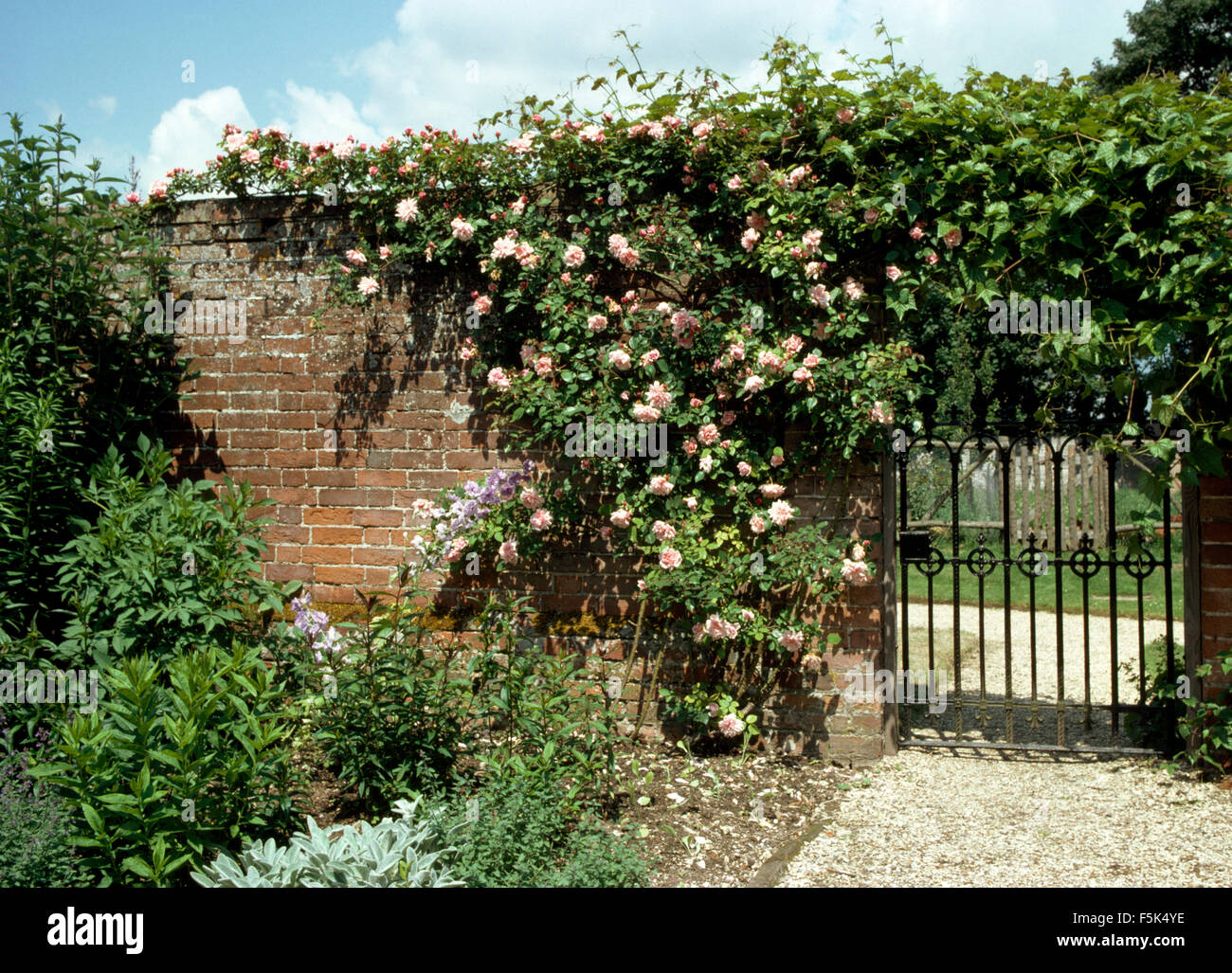 Wrought iron gate hi-res stock photography and images - Alamy