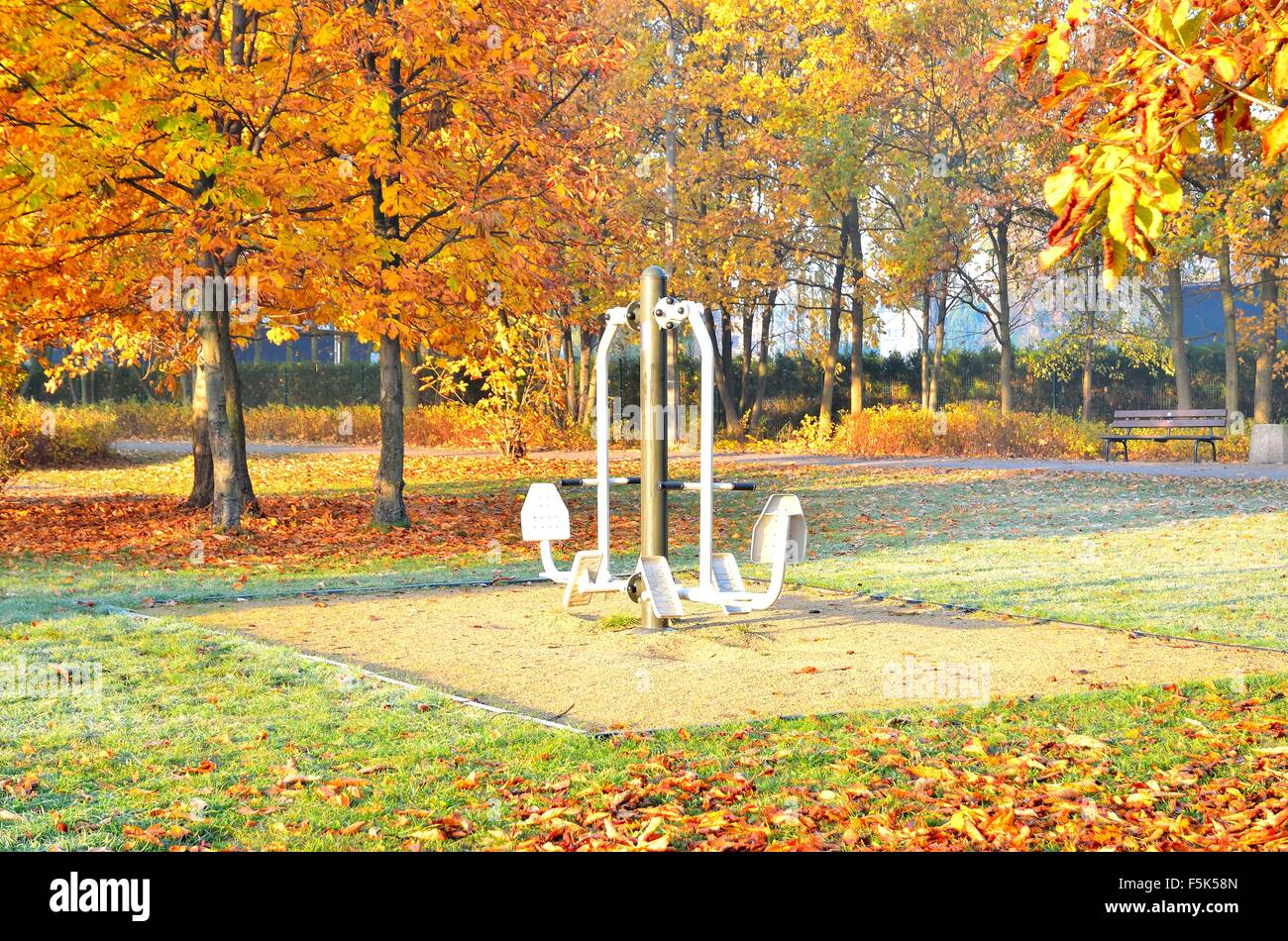 Outdoor gym. The exercise apparatus in the autumn park Stock Photo - Alamy