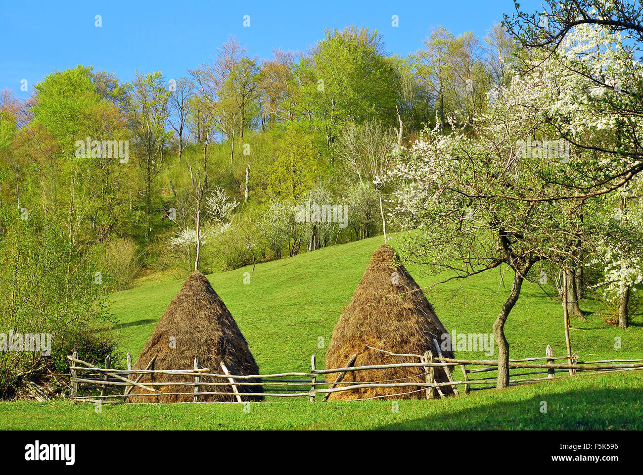 Spring time in the village hi-res stock photography and images - Alamy