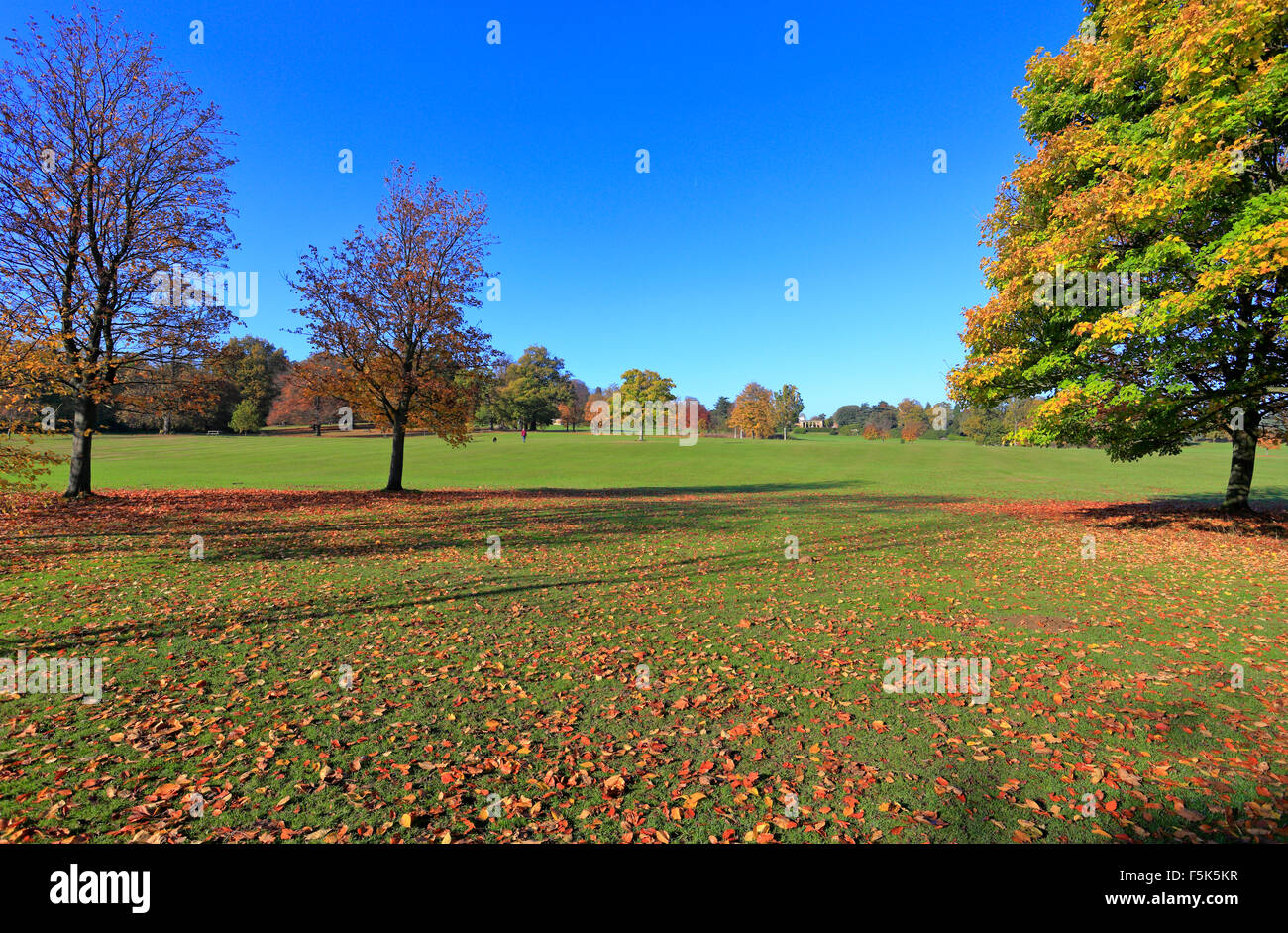 Cawthorne yorkshire hi-res stock photography and images - Alamy