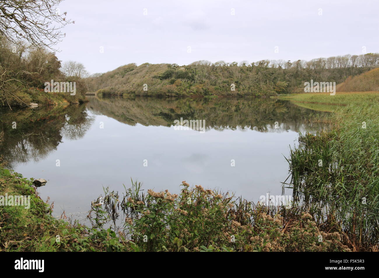 Bosherston lily ponds pembrokeshire hi-res stock photography and images ...