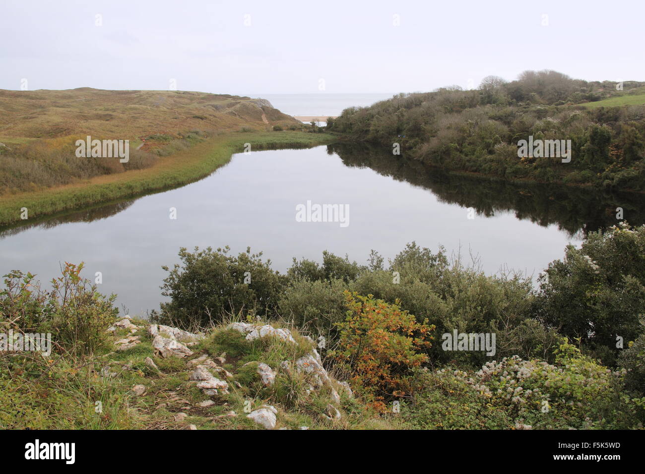 Bosherston Lily Ponds, Pembrokeshire, Dyfed, Wales, Great Britain ...