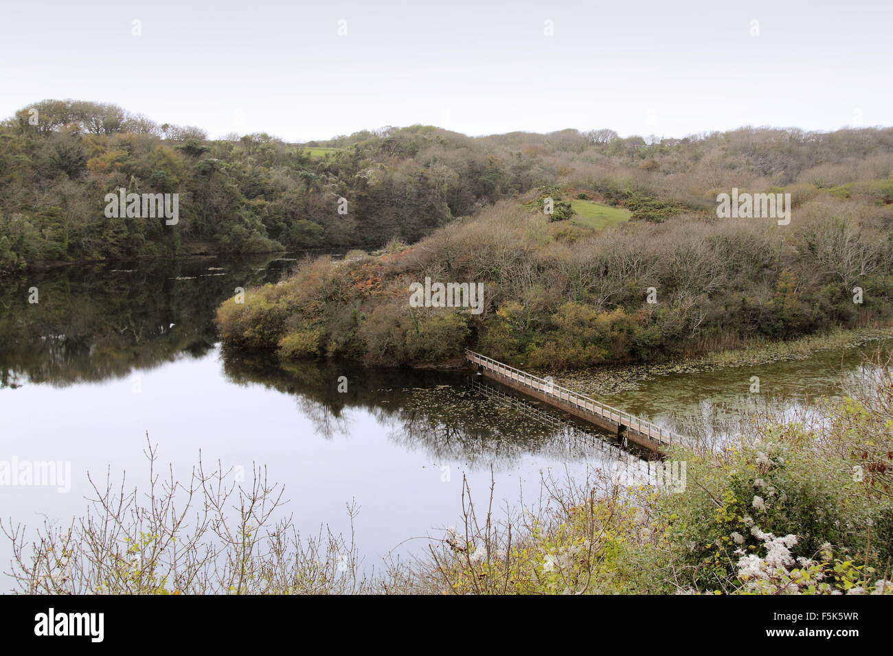 Bosherston Lily Ponds, Pembrokeshire, Dyfed, Wales, Great Britain ...