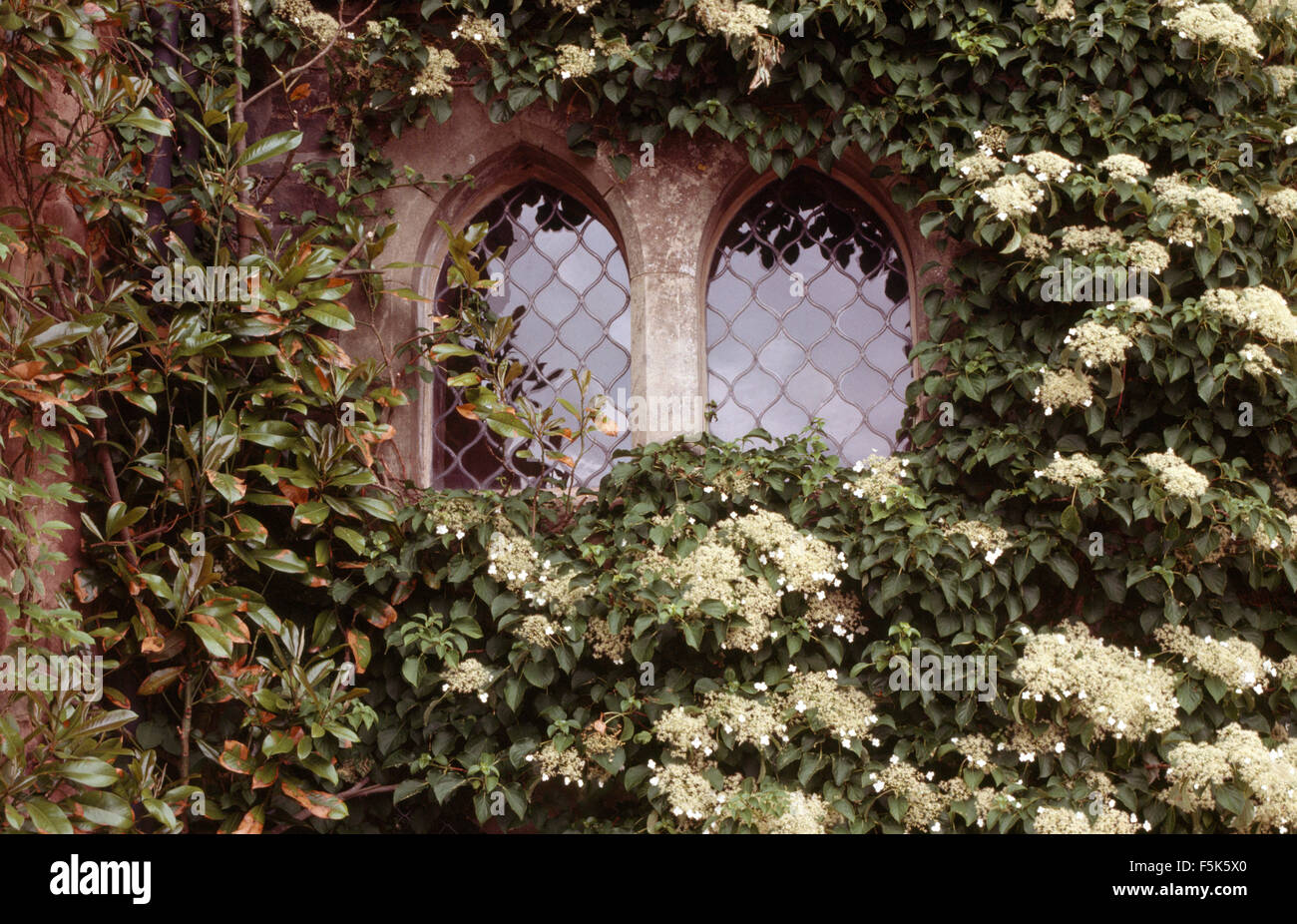 Lattice window hi-res stock photography and images - Alamy