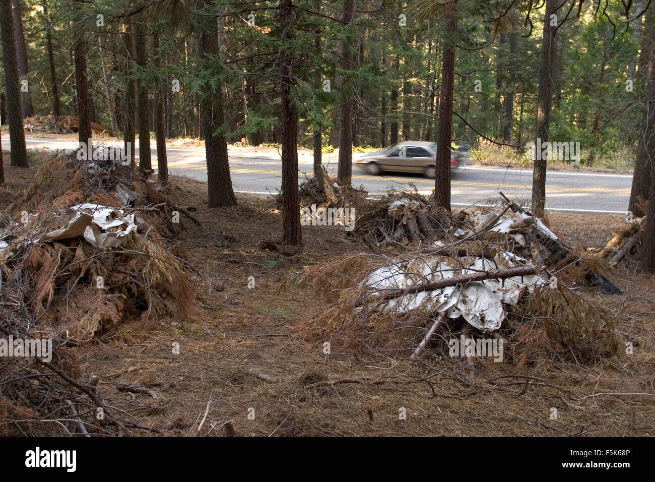 Seed germination problem hi-res stock photography and images - Alamy