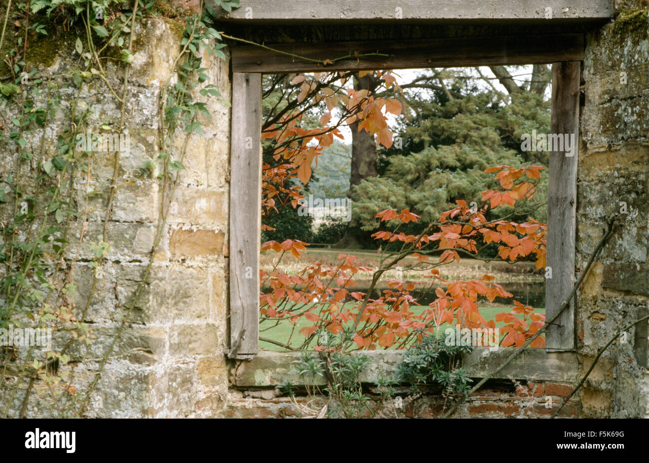 View of autumn leaves through window in a large walled country garden ...