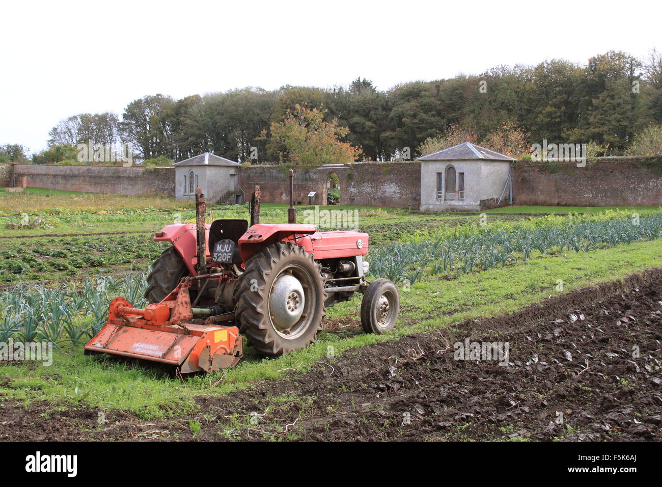 Stackpole Walled Gardens, Bosherston, Pembrokeshire, Dyfed, Wales ...