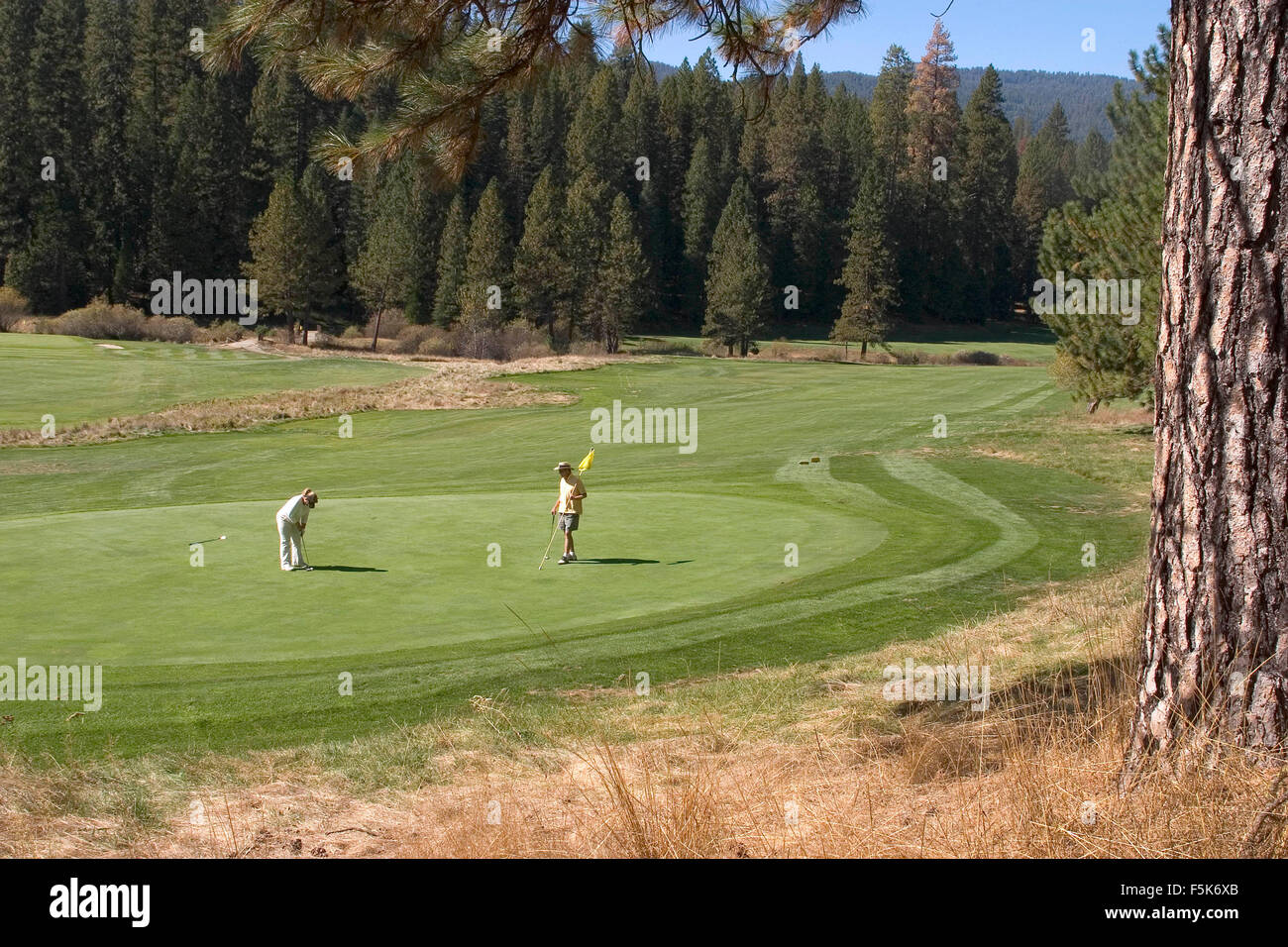 18 rounds of golf hi-res stock photography and images - Alamy