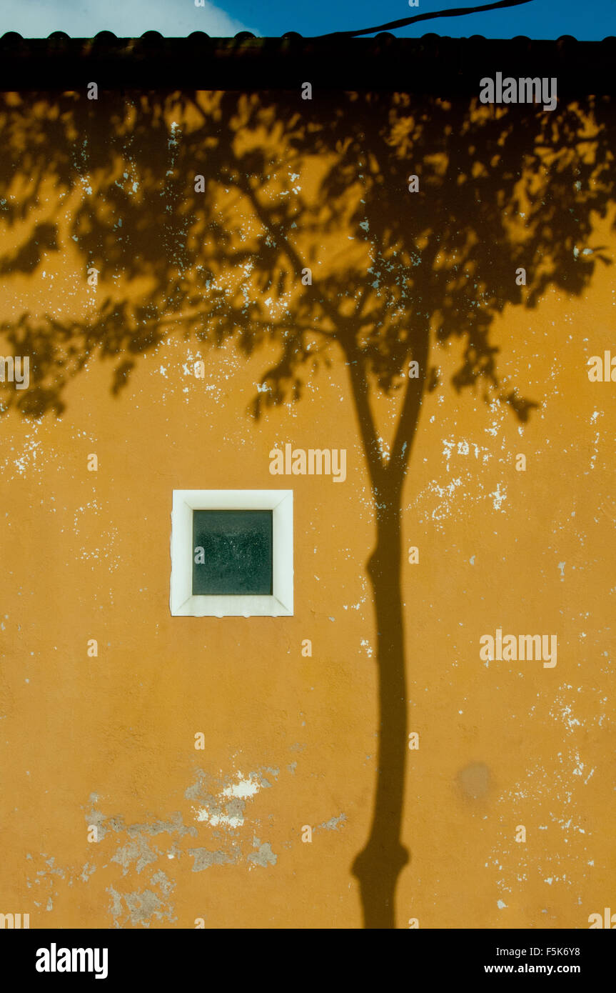 tree shadow on building Stock Photo - Alamy