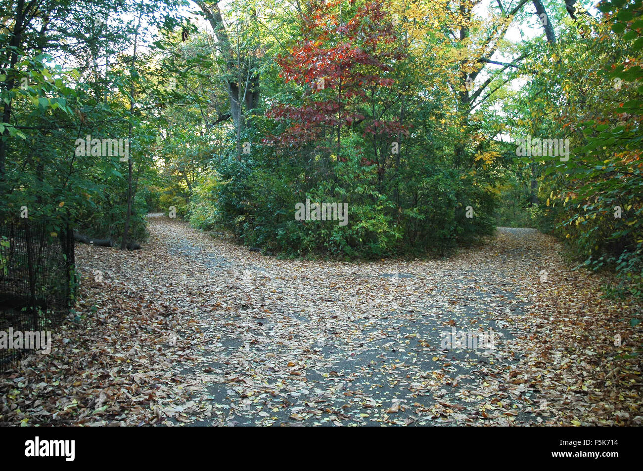Fall foliage prospect park hi-res stock photography and images - Alamy