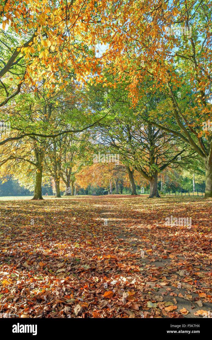 Pathway in park hi-res stock photography and images - Alamy