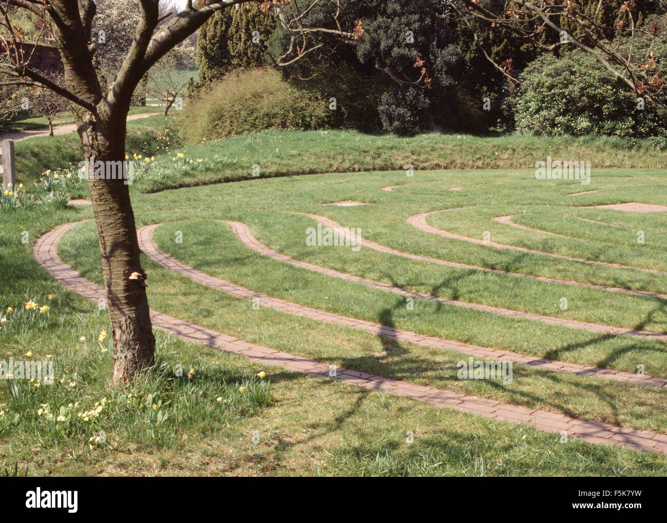 Grass and paving maze in a large country garden in Spring Stock Photo ...
