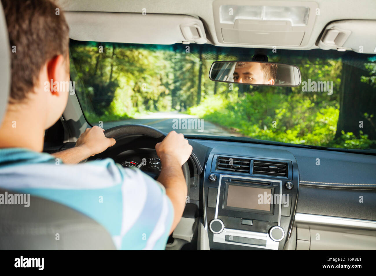 Driving man inside car with beautiful forest view Stock Photo - Alamy