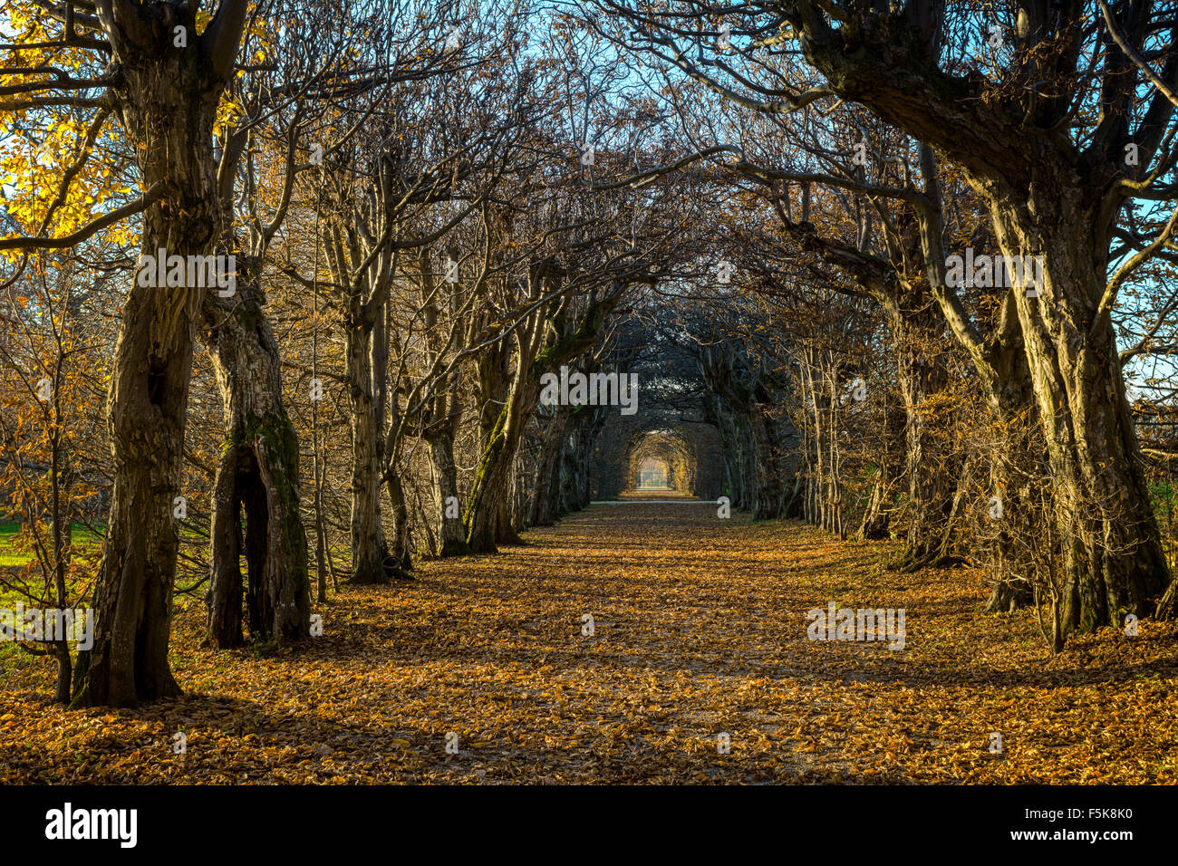Alley in bamberg hi-res stock photography and images - Alamy