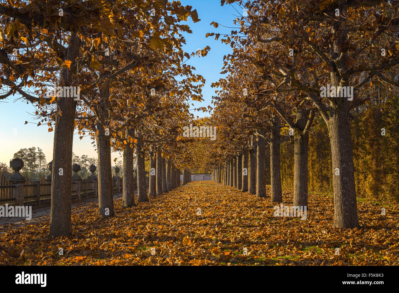 Alley in bamberg hi-res stock photography and images - Alamy